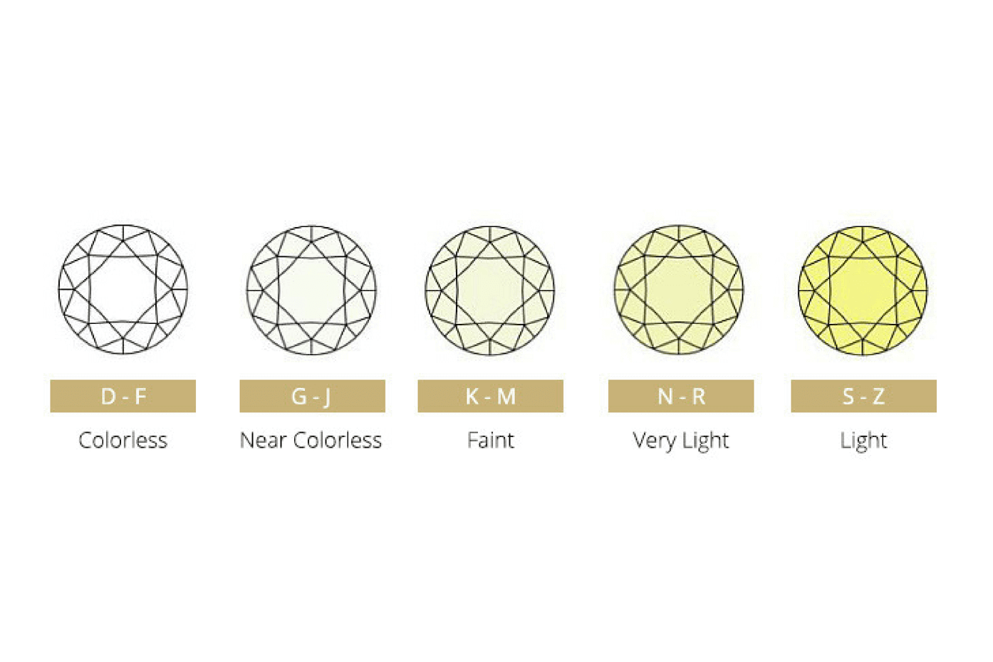 The GIA Report: How To Check Your Diamond's Value | Worthy
